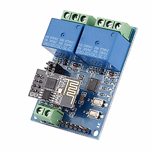 2 Channel Relay Smart Momentary Switch Relay Module for Smart Home Phone APP Remote Switch