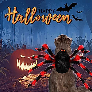 Chngeary Halloween Cats Dogs Costume - Dog Spider Costume,Festival Pet Accessories Dress up Furry Costume for Cat,Small and Medium Dog - Dressed as A Black Red Giant Spider…