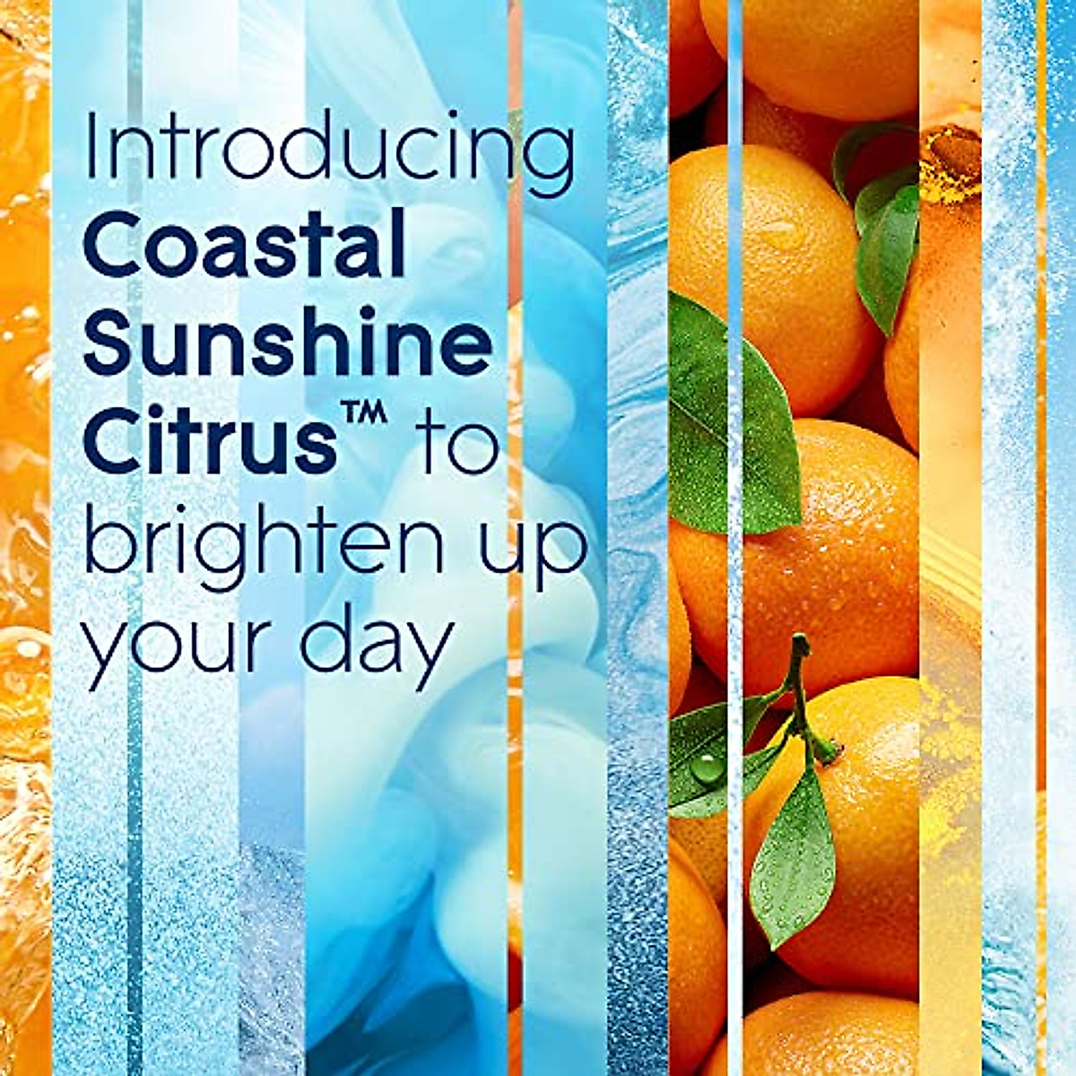 Glade Automatic Spray Refill, Air Freshener for Home and Bathroom, Coastal Sunshine Citrus, 6.2 Oz, 3 Count