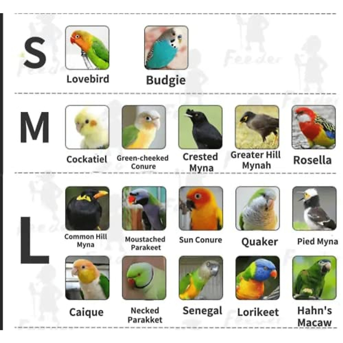 Bird Flight Suits Diapers, Parrot Flight Suits Diapers for Monk Parakeets, Cockatiels Flight Suits, Parrot Clothes, Bird Training Nappy Suit Liners Clothes (Small,Purple)