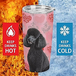 20 Oz Tumbler With Straw Leak Proof Thermos Cup, Poodles Dogs Stainless Steel Insulated Travel Coffee Mug Fit for Car Cup Holder