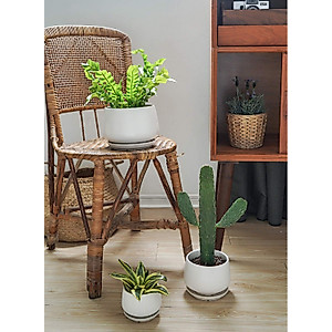 LE TAUCI Ceramic Plant Pots, 4.1+5.1+6.5 inch, Set of 3, Planters with Drainage Hole and Saucer, Indoor Flower Pot with Hole Mesh Pad, Gifts for Mom, White