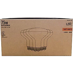 Home Depot 75-Watt Equivalent BR40 CEC Dimmable LED Light Bulb 2700K Soft White (6-Pack) Damp Location Rated