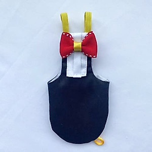 Bird Diaper Harness Flight Suit Clothes with Flying Leash for Parrots Cockatiel Pet Birds, Parrot Clothes, Bird Training Nappy Suit Liners Clothes (L, Black)