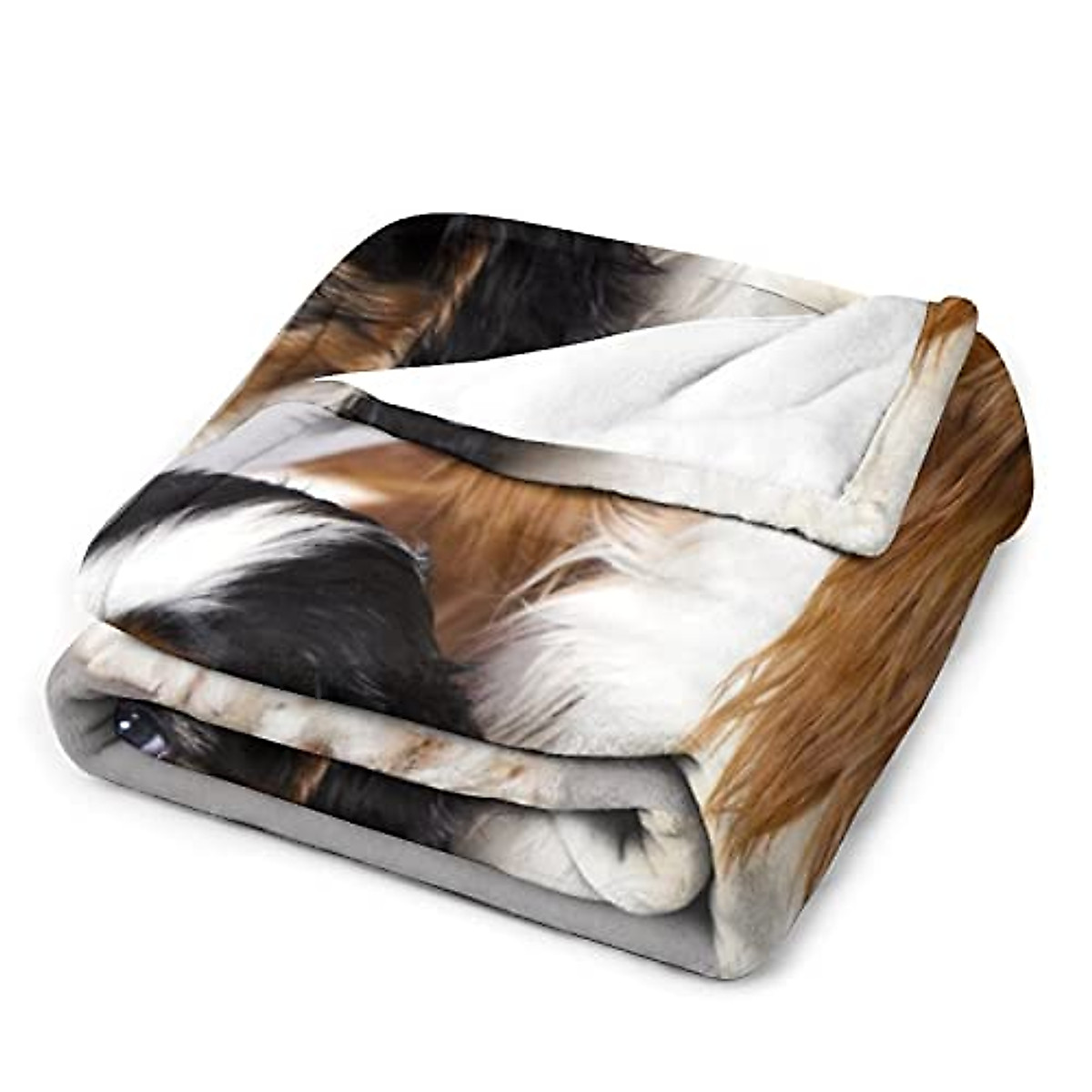 Cavalier King Charles Spaniel, Fleece Blanket Ultra-Soft Cozy Plush Blanket Throw Blankets Couch Chair Living Room Air Conditioning Cool Blankets, 50"*60"