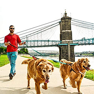 VIVAGLORY Dog Training Leash with 2 Padded Handles, Heavy Duty 6ft Long Reflective Safety Leash Walking Lead for Medium to Large Dogs, Black