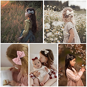 20pcs Baby Girl Hair Bows Clips Fully Lined Alligator Clips Barrettes Hair Accessories for Little Girls Toddler School Age Kids Teens Gifts