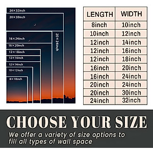 5D DIY Diamond Painting Cat - Cat Floor Art Diamond Painting Kit for Adults - Full Diamond Round Rhinestone Crafts - Suitable for Home Wall Decor (12x14inch)