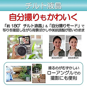 Canon EOS M100 Mirrorless Camera w/ 15-45mm Lens - Wi-Fi, Bluetooth, and NFC Enabled (Black) (International Model)