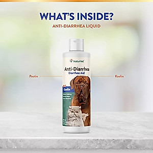 NaturVet Anti-Diarrhea Liquid Pet Supplement Plus Kaolin – Helps Alleviate Discomfort, Cramping, Irritation From Diarrhea for Dogs, Cats – Great Taste – 8 Oz.