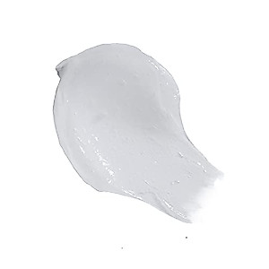 Carol’s Daughter Wash Day Delight Detangling Jelly-To-Cream Conditioner with Glycerin and Aloe, Paraben-Free for Moisture, Hydration and Shine, Moisturizing, Curly Hair , 20 Oz