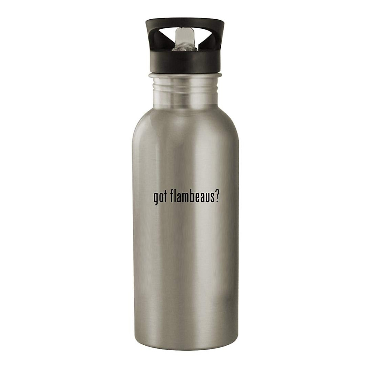 got flambeaus? - 20oz Stainless Steel Water Bottle, Silver