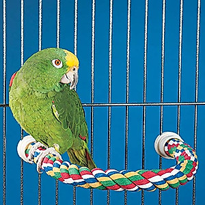 ORIJEN Beef Recipe Stew with Shredded Beef and Eggs Wet Dog Food, Grain Free Dog Food, WholePrey Ingredients, 12.8oz (Case of 12)