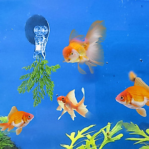 AccEncyc 12Pcs Veggie Clips Aquarium Seaweed Clips Fish Food Holder Wide Mouth Clips Plants Suction Cups Algae Clips for Freshwater and Marine Fish Tank (Plastic)