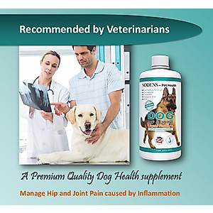 NODENS Dog Hip and Joint - Concentrated Glucosamine for Dogs with Chondroitin – Dog Joint Supplement for Natural Dog Pain Relief Anti-inflammatory for Improved Joint Flexibility and Mobility - 942 ml