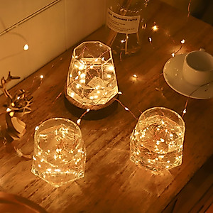 Whalegend Outdoor Lights 2 Pack 33ft 100LED Battery Powered Copper Wire String Lights 8 Modes with Remote Control for Bedroom Christmas Party Home Wedding Decorations Garden Indoor Decor Warm White