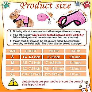 3 Pieces Guinea Pig Harness with Leash Small Pet Harness Fruit Plaid Pattern Adjustable Padded Walking Vest for Pet Hamster Ferret and Squirrel Small Animals (Pineapple, Blue, Green Plaid, Small)