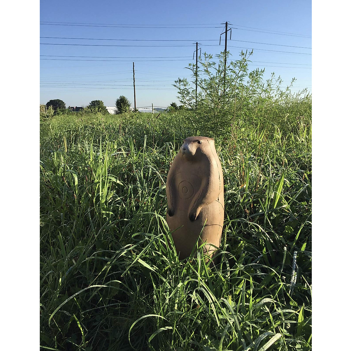 Real Wild 3D Ground Hog Archery Target