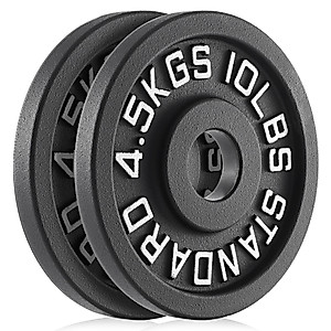 Philosophy Gym Set of 2 Standard Cast Iron Olympic 2-inch Weight Plates (10 LB each)