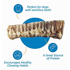123 Treats Premium Beef Trachea for Dogs – 6 Inch 100% Natural Beef Dog Chews, Rich in Glucosamine and Chondroitin for Joint & Hip Mobility (10 Count)