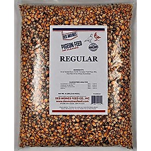 Regular Pigeon Mix (12%) 8 lbs