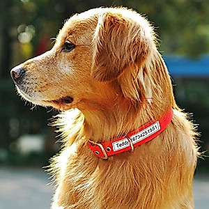 5-Pack Replacement for Brother P Touch Label Maker Tape,TZe TZ Tape 12mm 0.47 Inch Laminated White/Red/Blue/Yellow/Green TZe231 731 Label Refills Use for Brother PT-H110 PT-D220 PT-D210 Label Printer