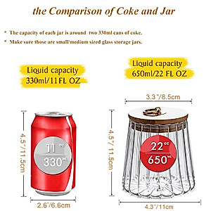 Viovian Glass Storage Coffee Container 650ml(22 FL OZ) Glass Coffee Nuts Canister Glass Jar with Lid Petal Decorative Glass jar with Bamboo Lid for Sugar Coffee Beans Tea Candy Food(Taper)