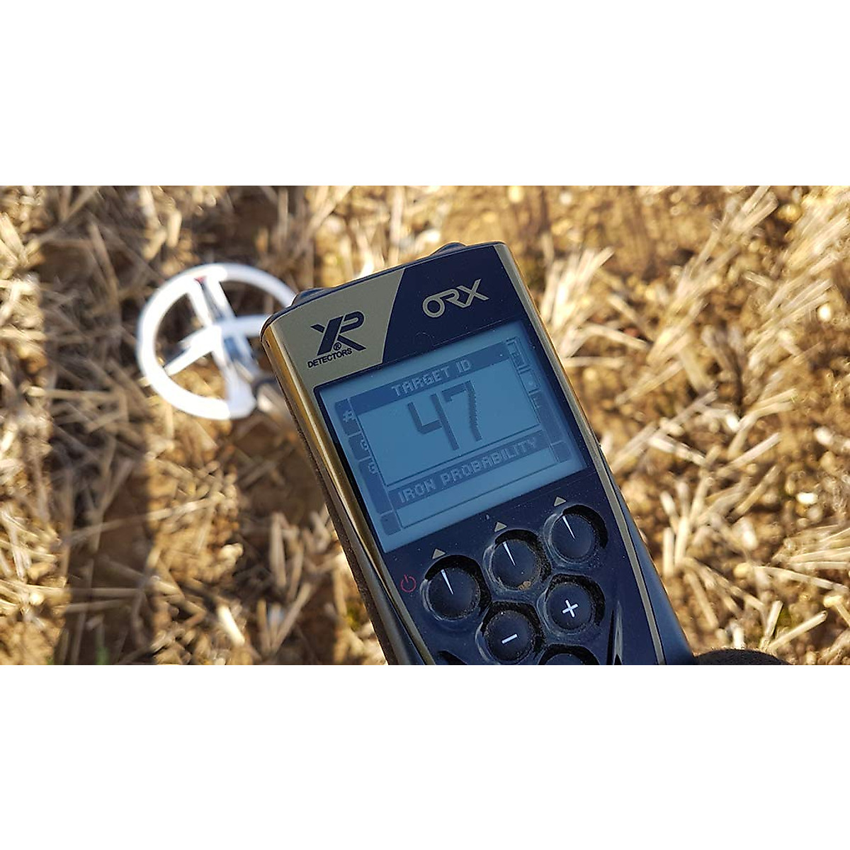 XP Metal Detectors ORX Detector - Specialized in Gold Hunting - FX02 Wired Headphones, WSAUDIO Wireless Headphones, HF Coil (9'') up to 50kHz, Remote Control and S-Telescopic Lite Stem (ORX-22FX02E)