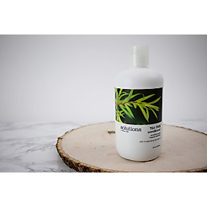 GREAT CLIPS Solutions Tea Tree Conditioner 12 fl oz | Tea Tree and Peppermint Oils | Detangle and Condition | For All Hair Types