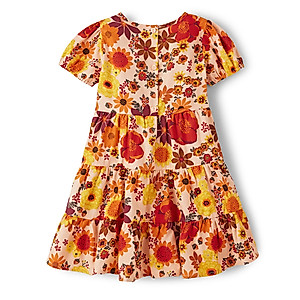 Gymboree Girls and Toddler Short Sleeve Casual Printed Dresses, Harvest Fall Flowers, 7 US