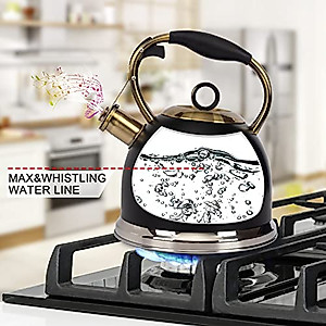 Tea Kettle -3.0 Quart Tea Kettles Stovetop Whistling Teapot Stainless Steel Tea Pots for Stove Top Whistle Tea Pot