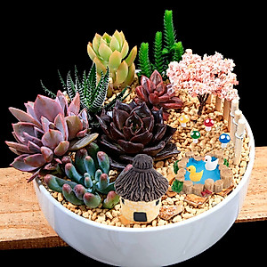 20 Pieces Miniature Fairy Garden Accessories Fairy Garden Figurines Miniature Landscape Set Mini Pond Barn Well Lawn Boat Tiny Duck Set for DIY Craft Micro Garden Landscape Bonsai Decoration