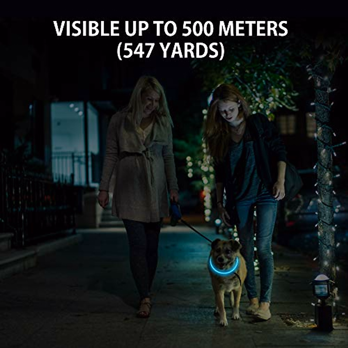 Novkin 2-Pack LED Dog Collar, Light Up Dog Collars,Rechargeable Dog Lights for Night Walking，Universal, Reusable Safety Necklace for Small Medium Large Dogs