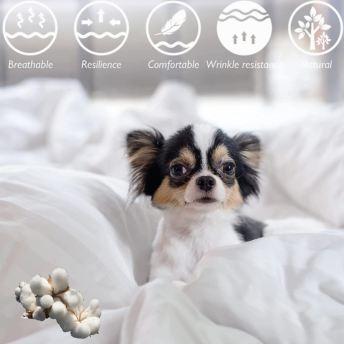 Brandream Kids Bedding Full Size Boy 100% Cotton Set Blue Adventure Hot Air Balloon Duvet Cover Set 3-Piece (No Comforter Included) Reversible