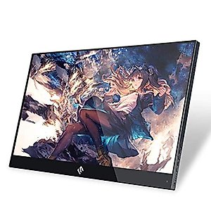 EVER LUSTRE 13.3 Inch Portable Monitor for Laptop PC,Portable Gaming Monitor for PS3 PS4 Xbox Switch with HDMI USB C (Monitor)