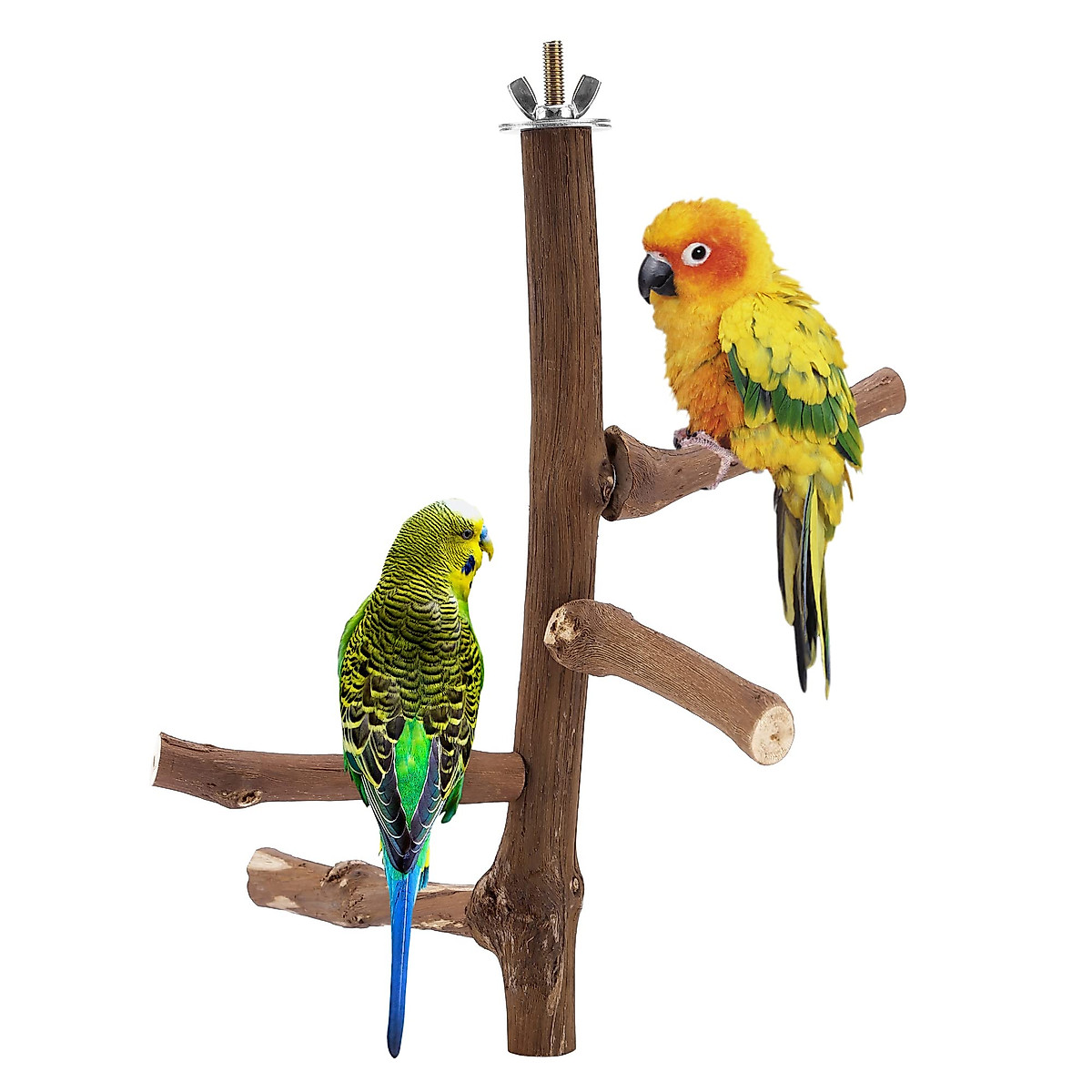 CozyCabin Natural Bird Perch Stand, Hanging Multi Branch Grapevine Parrot Perch Bird Cage Toys for Small Budgies Conure Parrot Parakeets Cockatiels Lovebirds (Branch)