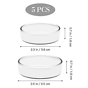 Petri Dishes with Lids Glass Petri Dishes Culture High Borosilicate Petri Dishes 5Pcs