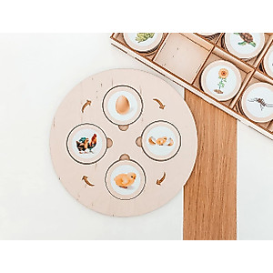 Montessori Life Cycle Puzzle Board Kit, Life Cycle Puzzle Kit of Animals, Plants and Insects, Toddler Puzzle Development Toys, Early Educational Toy for 3~6 Years Old Preschool Kids