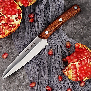 AYANICA Kitchen Knife 4.5 inch Lightweight High Carbon Stainless Steel Sharp Blade Wooden Ergonomic Handle Paring Peeling Fruit Slicing