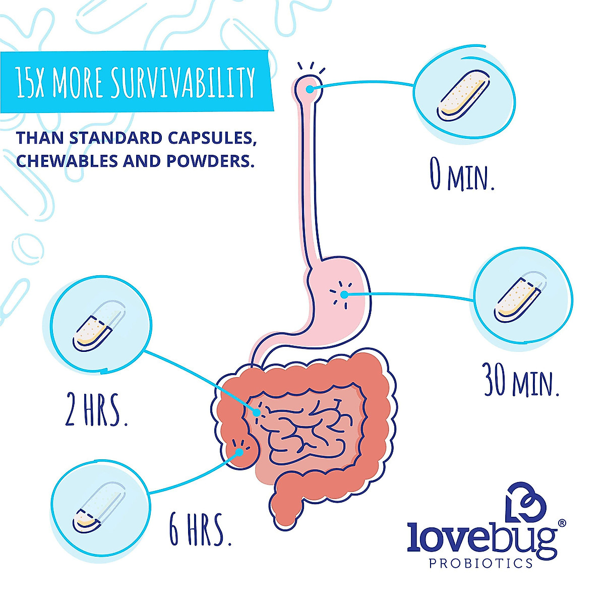 lovebug PROBIOTICS Here’s The Skinny Daily Probiotic for Men & Women, 60 Tablets