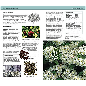 Herbal Remedies Handbook: More Than 140 Plant Profiles; Remedies for Over 50 Common Conditions