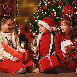 AUCOOMA Fish Plush Stuffed Animal Red Gold Arowana Fish Plush Pillow Plushie Toy 11.8"