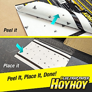 HOY HOY Mice & Flies Glue Trap Paper - 50 Traps [1 Pack] Ready-to-Use Super Strong Glue Multi-Purpose Pest Rodent Killer Trap, Gnat Moth Insects Spider Crickets Roach Rat Snake Lizard, Made in Japan
