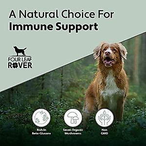 Four Leaf Rover: Seven 'Shrooms- Immune Supporting Organic Mushroom Complex for Dogs - 15 to 60 Day Supply, Depending on Dog’s Weight - Rich in Beta Glucans - Grown on Wood - Vet Formulated
