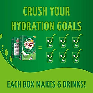 Canada Dry Powder Drink Mix – ginger flavor, Sugar Free & Delicious (Variety, 30 Sticks)