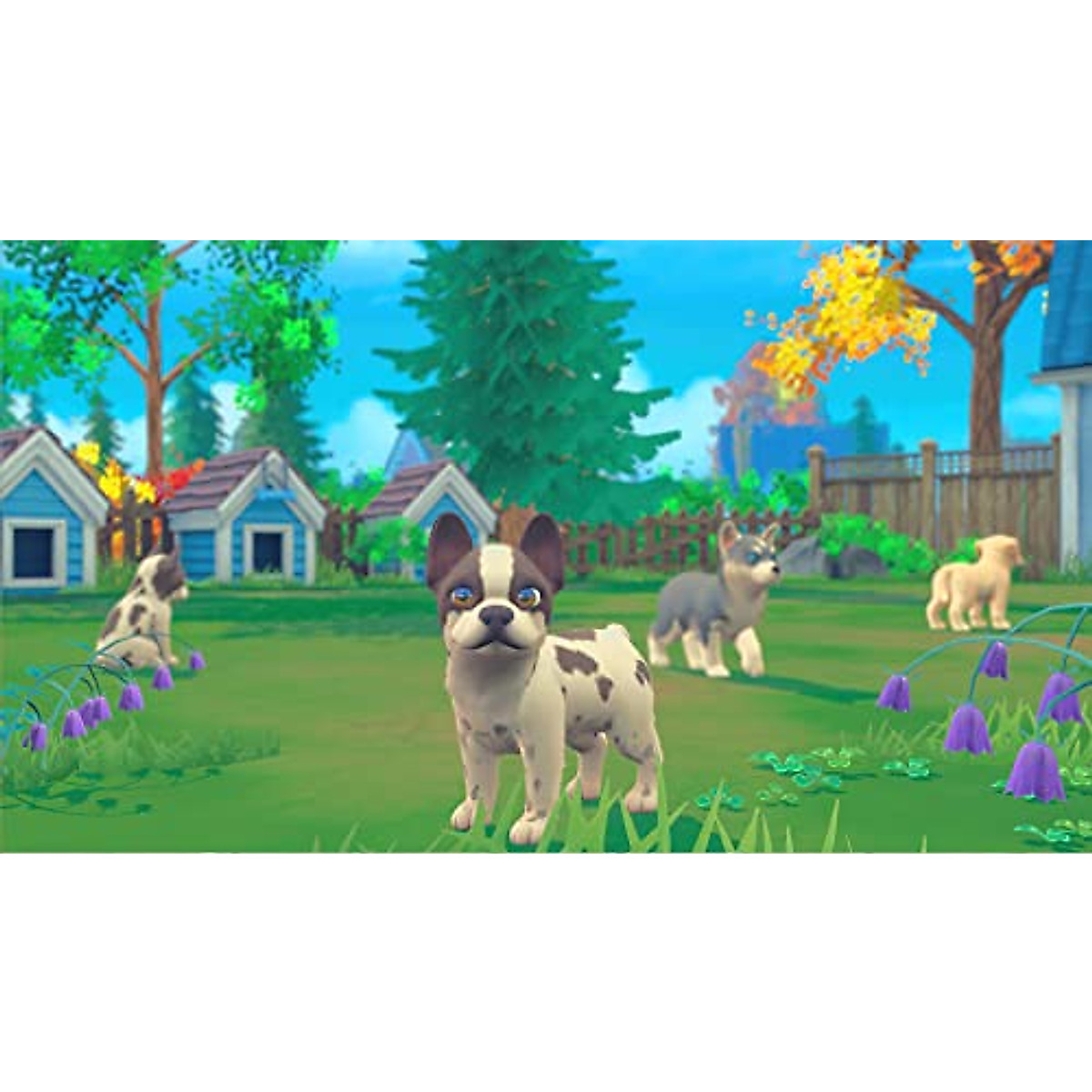 My Universe: Pets Edition (NSW)