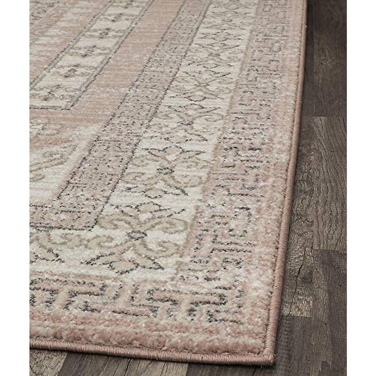 Rugs America Harper HY40A Carnation Transitional Vintage Area Rug, 5'x7'
