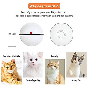 Pakoo Interactive Cat Toys Ball Smart Automatic Rolling Kitten Toys USB Rechargeable Motion Ball + Spinning Led Light with Timer Function The Best Entertainment Exercise Gift for Your Kitty
