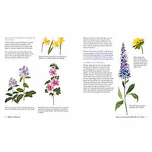 Wildflower Watercolor: The Beginner’s Guide to Painting Beautiful Florals