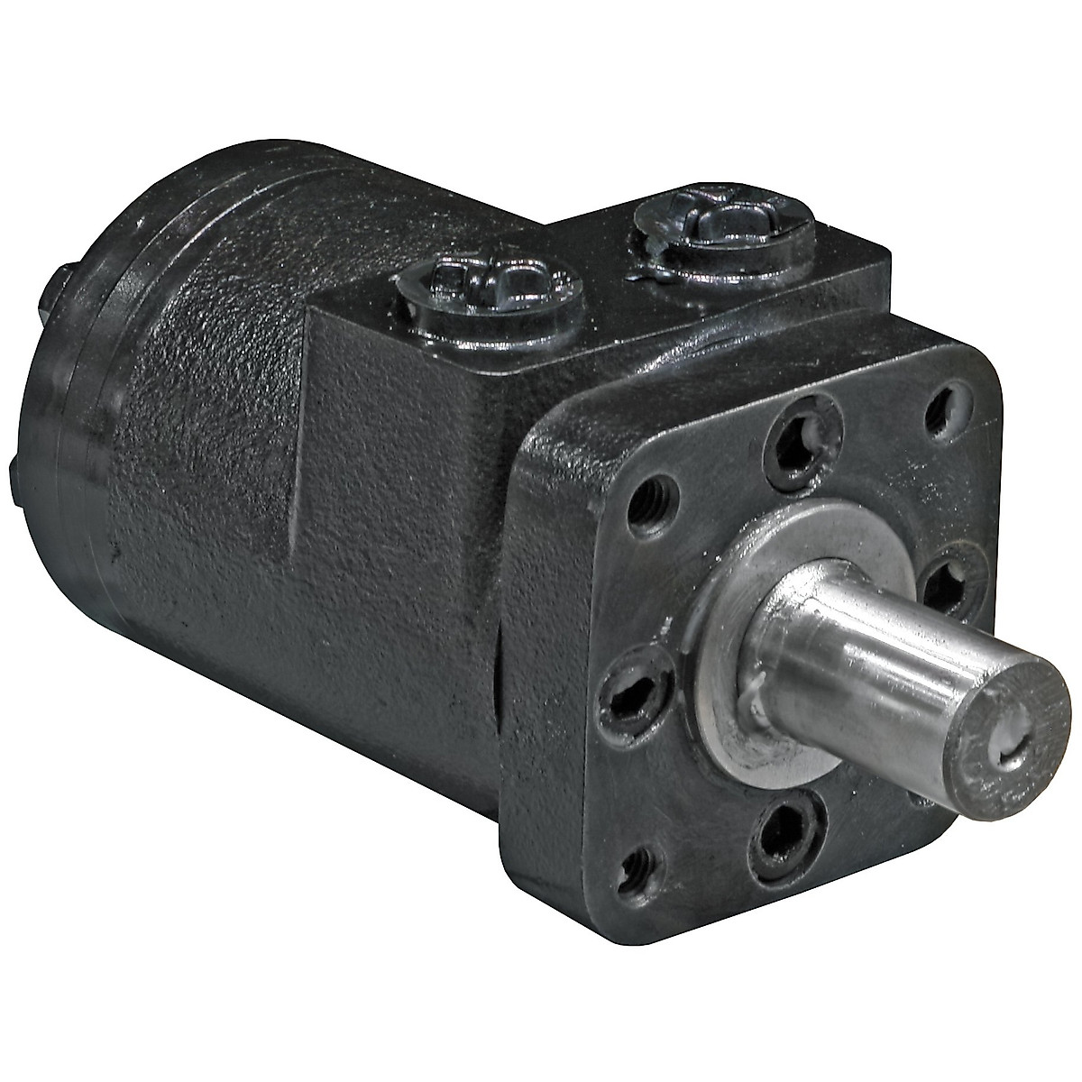 Buyers Products CM004P Hydraulic Motor (Motor,Hydraulic,4-Bolt, 3.17 Cipr) , Black